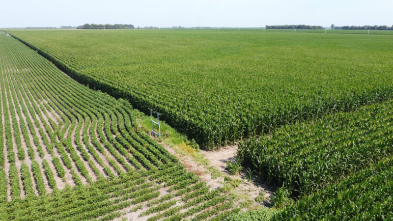 Lindburg Farmland and Real Estate Auction SOLD - Cornwell, Inc ...