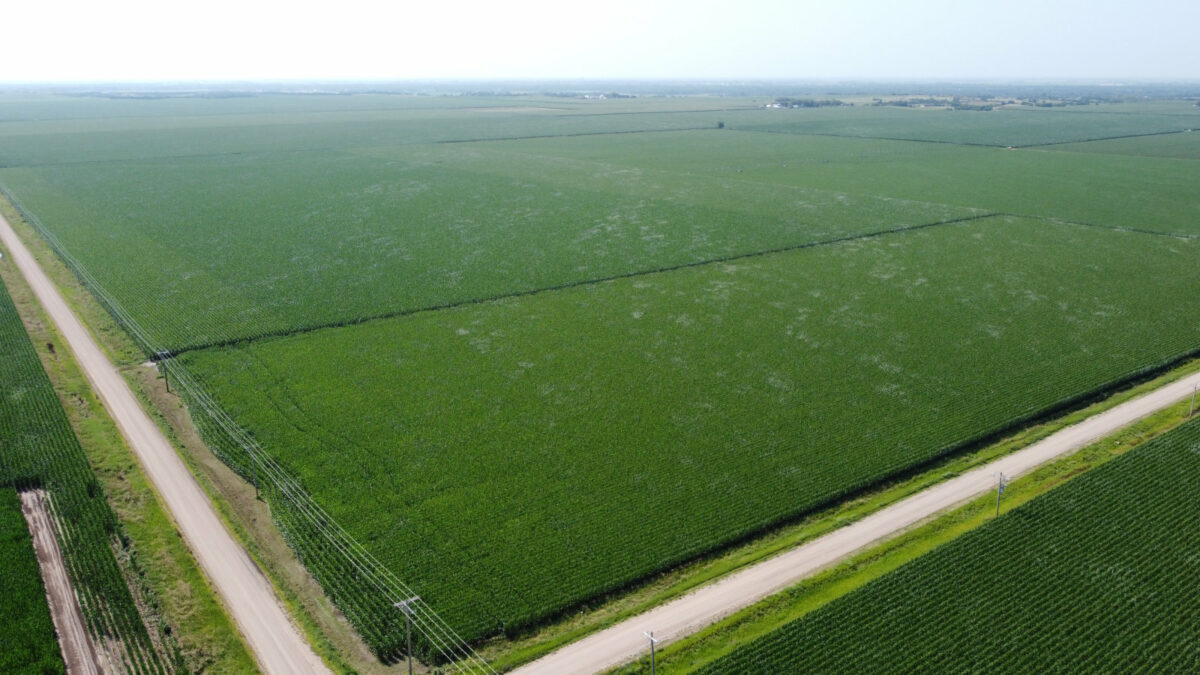 Lindburg Farmland and Real Estate Auction SOLD - Cornwell, Inc ...