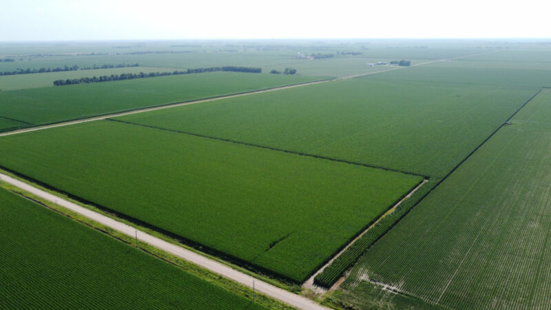 Lindburg Farmland and Real Estate Auction SOLD - Cornwell, Inc ...